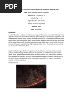 SST Disaster Management Project | PDF | Flood | Natural Disasters