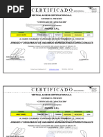 Certificado de Isem | PDF