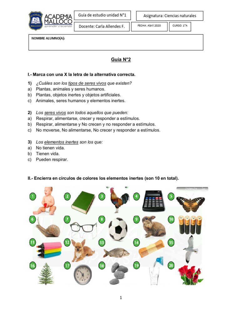 Guía 2 Cs Naturales 1° | PDF | Raíz | Plantas