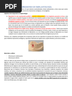 Jiro Abe | PDF | Odontología | Ramas de Odontología