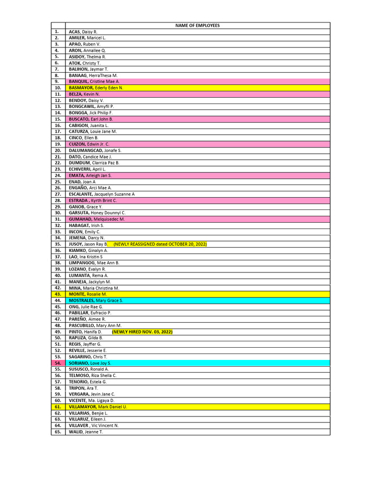 2023 May DTR Template | PDF