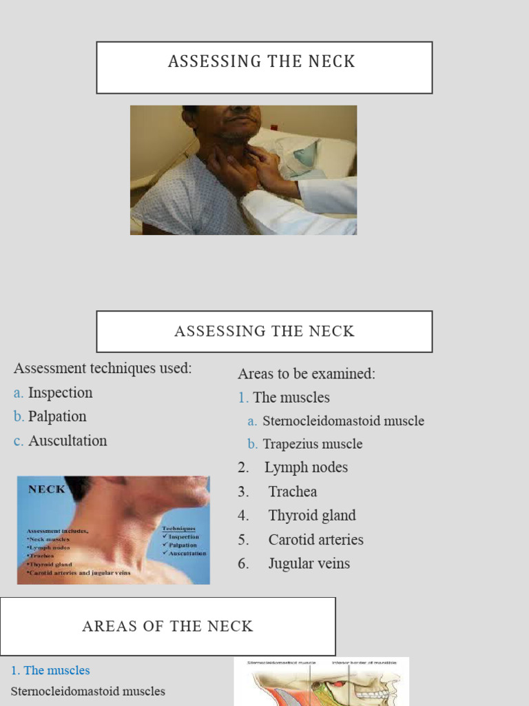Assessing The Neck | PDF | Neck | Anatomy