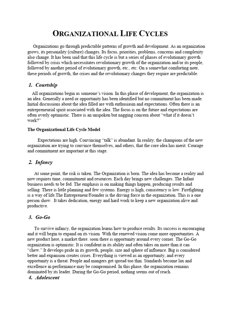 Organizational Life Cycles | PDF | Adolescence | Entrepreneurship