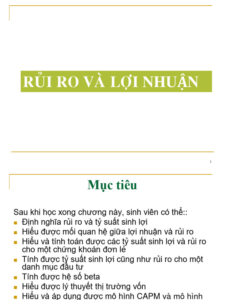 Rui Ro Va Loi Nhuan | PDF