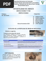 Pene de Perro - Anatomía, Características y Enfermedades | PDF | Pene ...