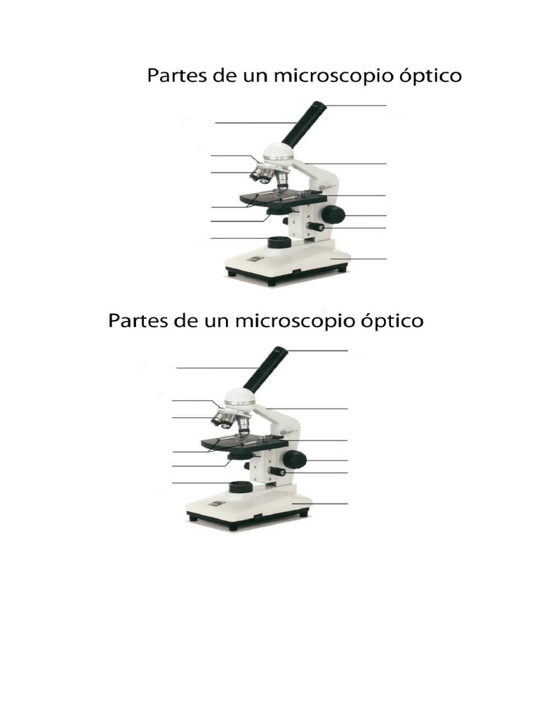 Partes de Un Microscopio Óptico | PDF