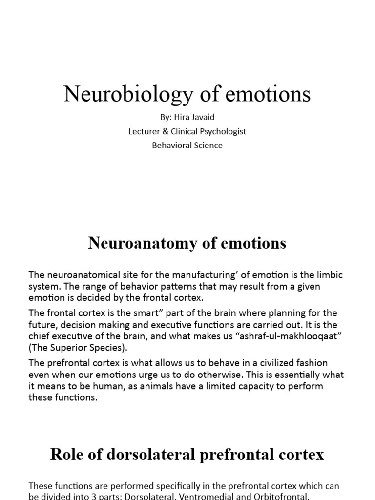 Neurobiology Of Emotions Pdf Amygdala Dorsolateral Prefrontal Cortex