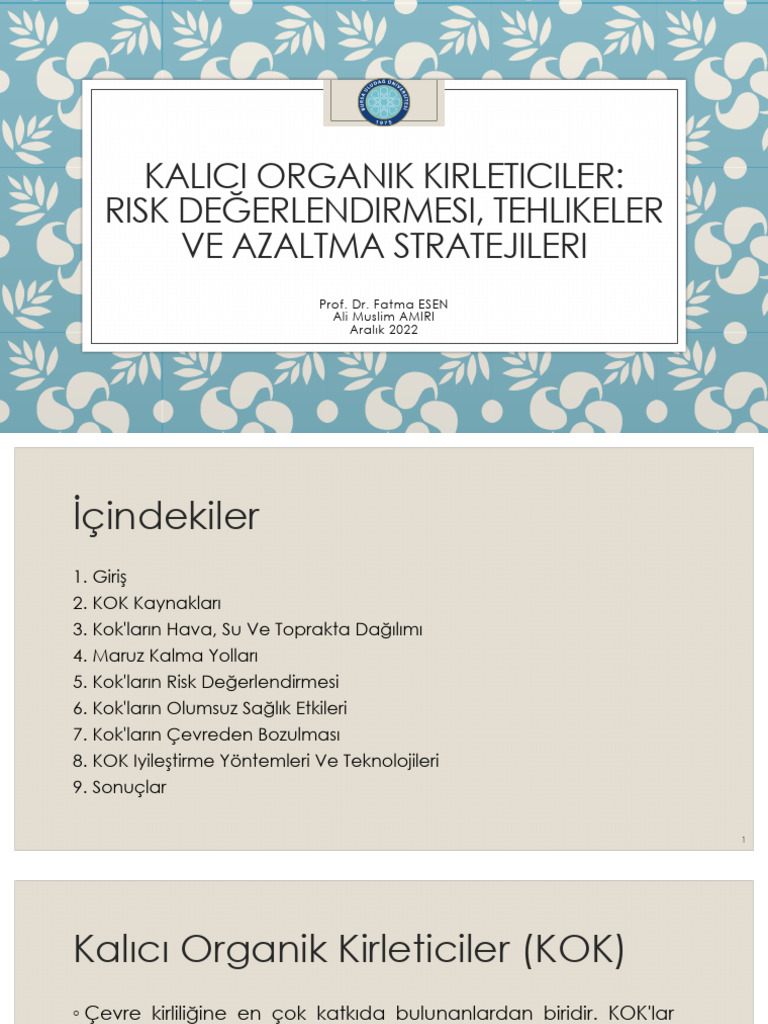 KOK Analizi | PDF