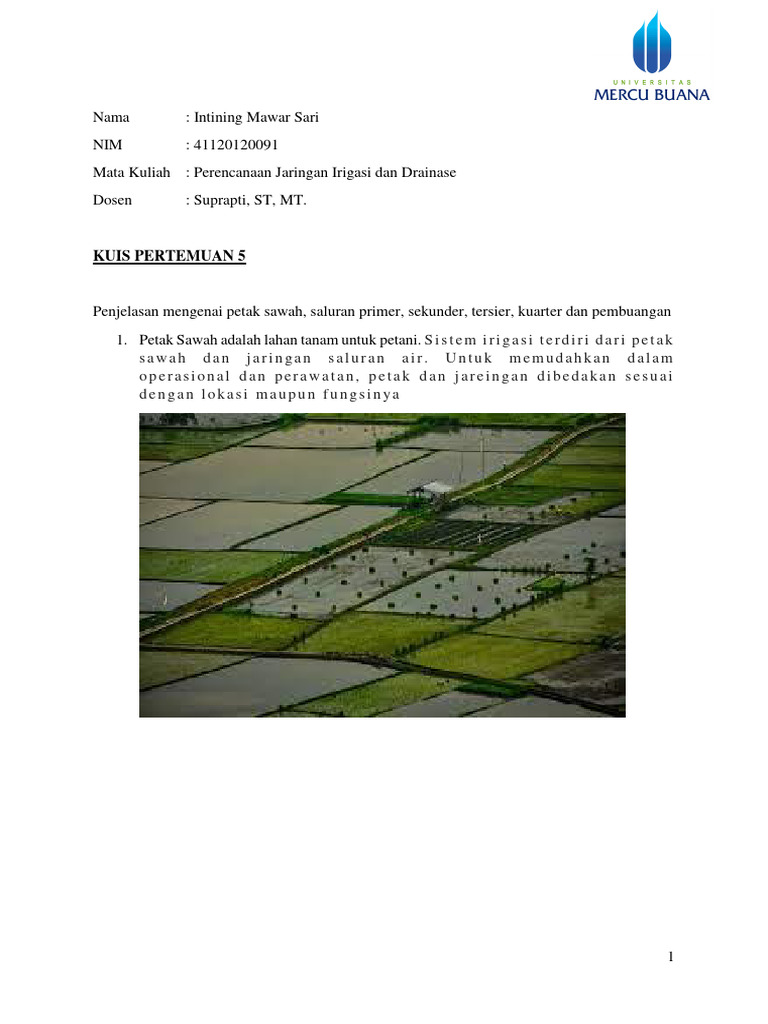 Kuis 5 - Perencanaan Jaringan Irigasi Dan Drainase TB - Intining Mawar ...