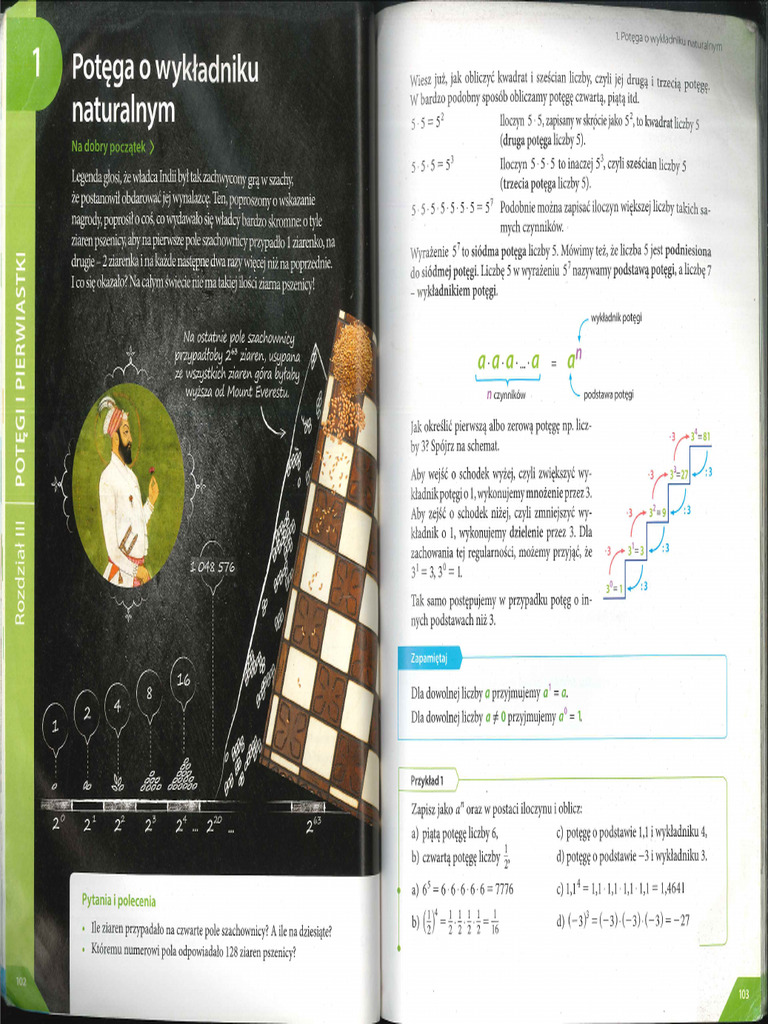Potęgi I Pierwiastki | PDF