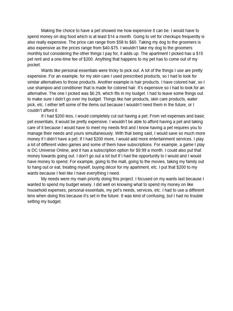 Budget Project - Essay | PDF