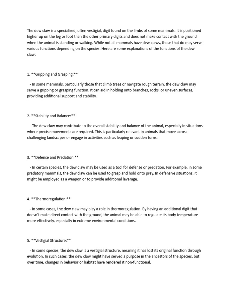 Dew Claw Examinations | PDF | Claw | Mammals