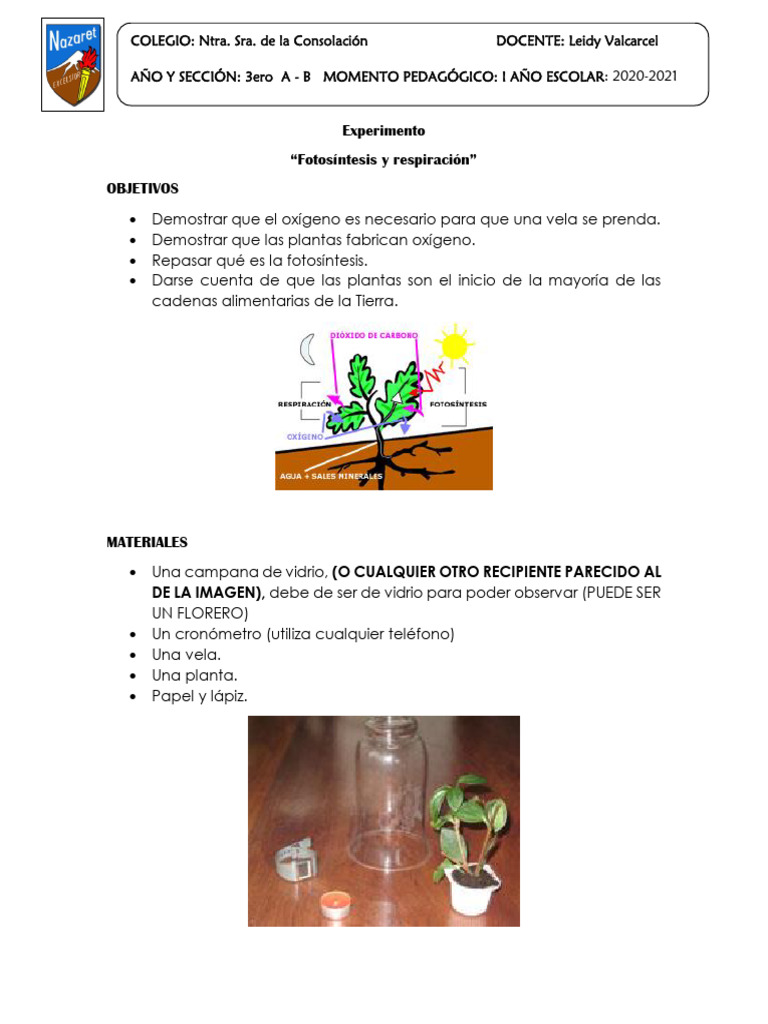 Experimento de Fotosíntesis y Respiración | PDF | Plantas