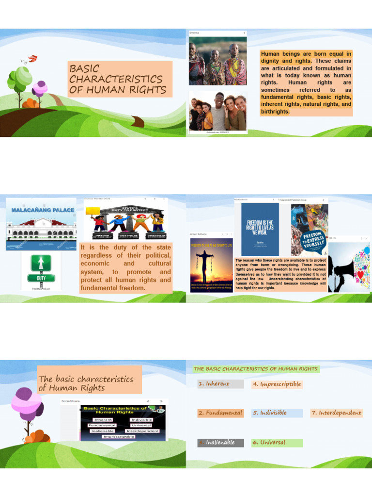 Iv. Basic Characteristics of Human Rights and State Obligations | PDF ...