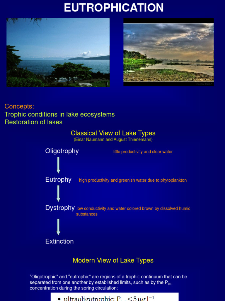 07 - Biotic-Abiotic Interactions | PDF | Eutrophication | Earth Phenomena