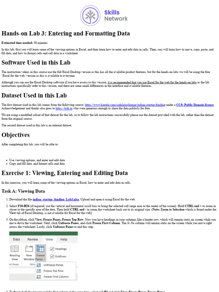 Entering and Formatting Data | PDF | Microsoft Excel | Application Software