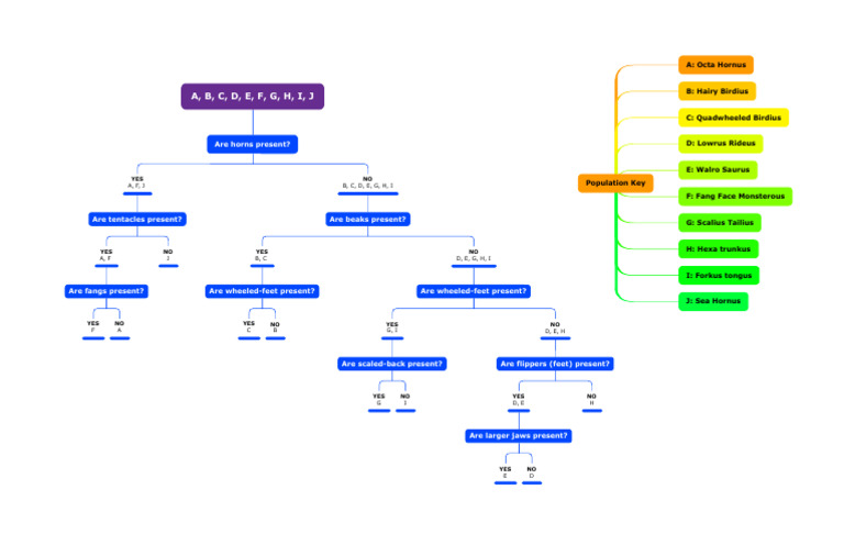 Dichotomous Key Assignment - Yatharth Thakkar | PDF