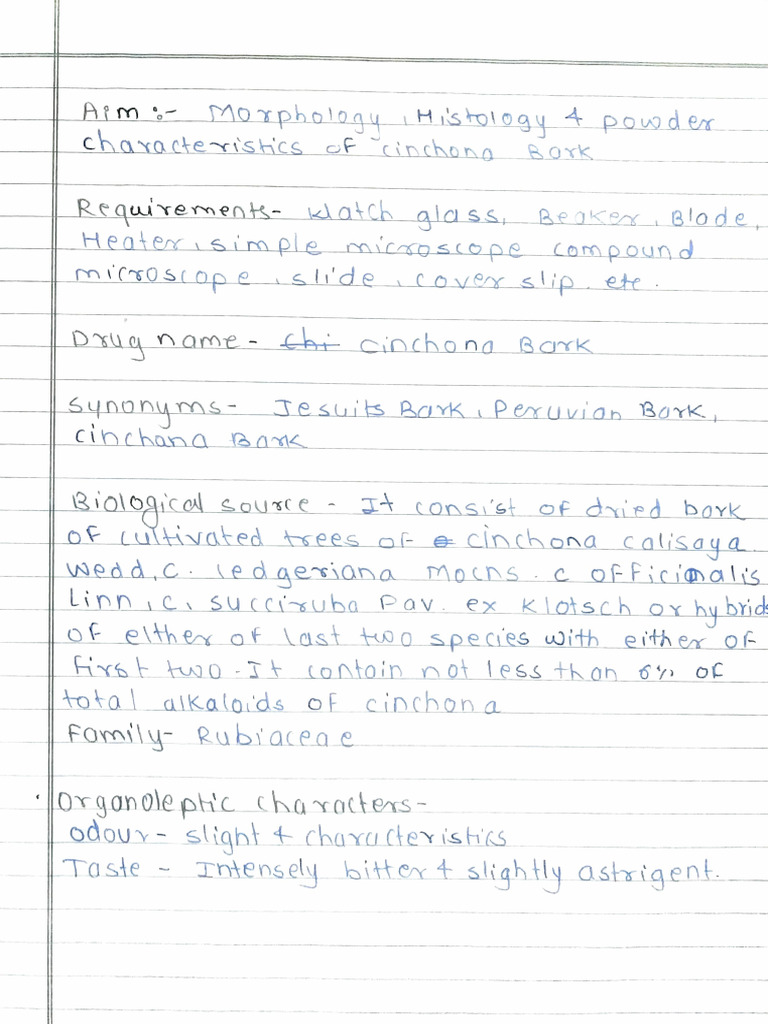 Cognosy Journal 1 | PDF