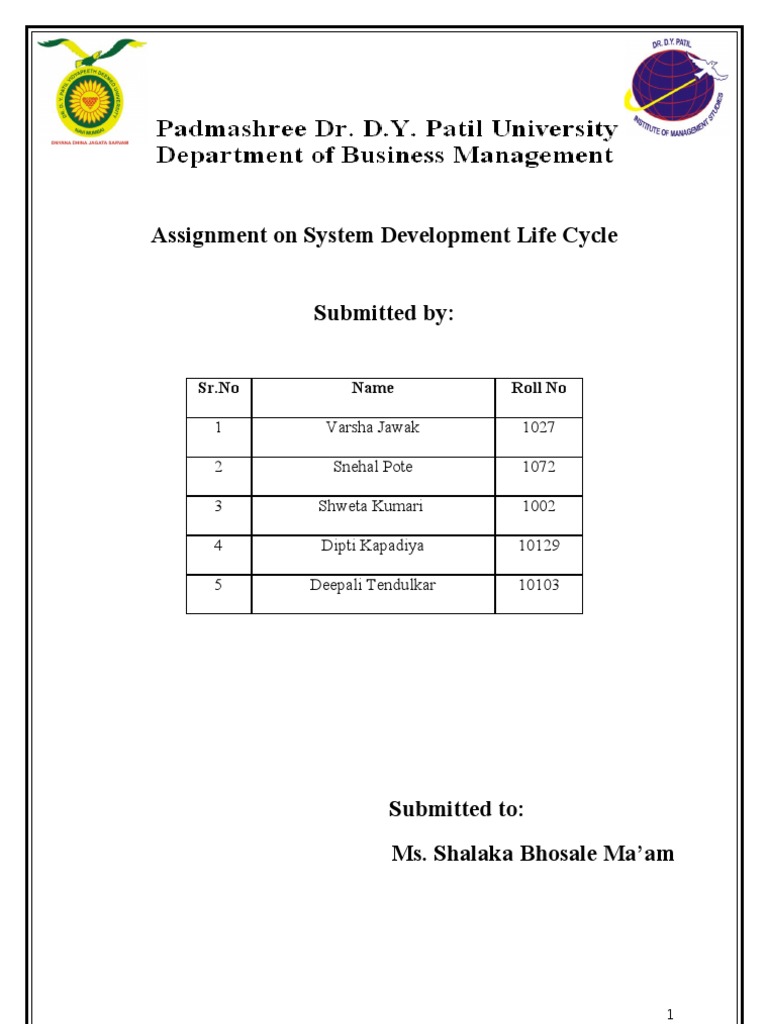 System Development Life Cycle | PDF | Software Development Process | Software Development