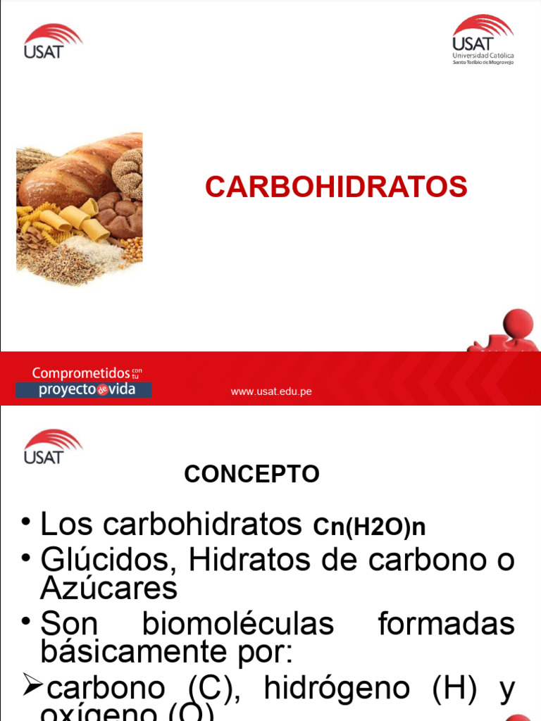 CARBOHIDRATOS | PDF | Carbohidratos | Polisacárido