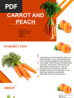 Carrot | PDF