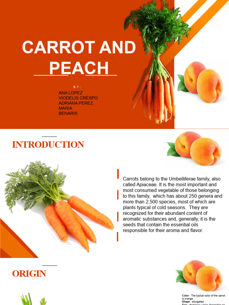 Carrots and Peach | PDF | Carrot | Peach