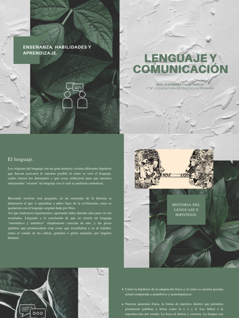 Lenguaje Y Comunicación Pdf Comunicación Ciencia Cognitiva