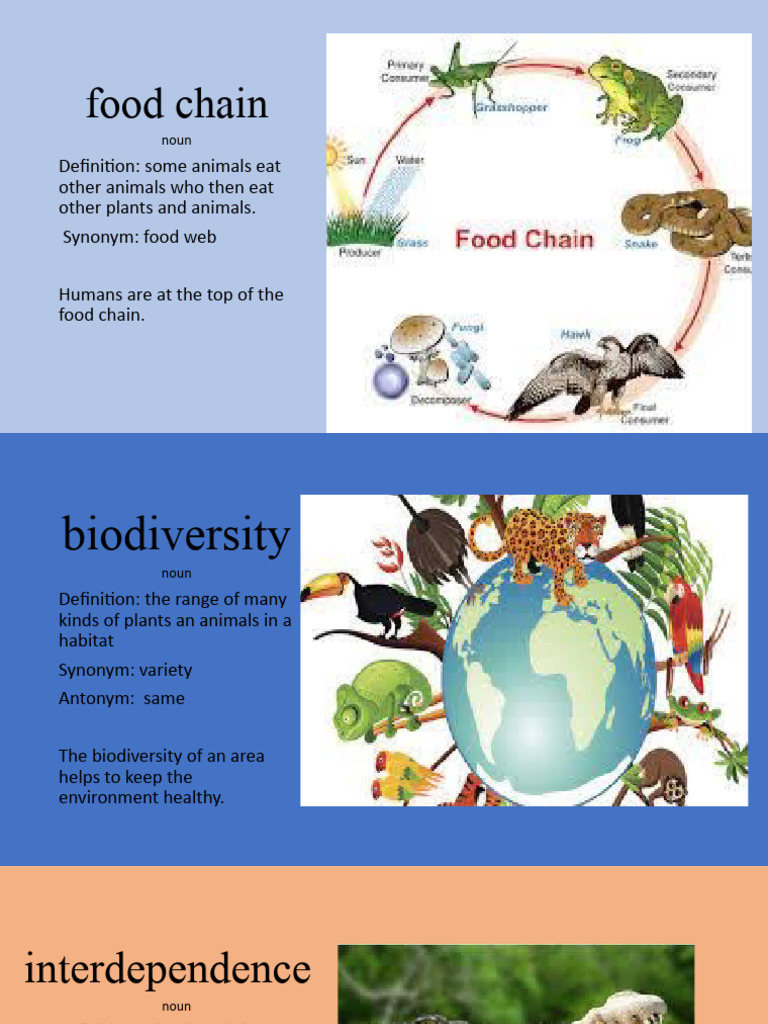Key Ecological Concepts Explained | PDF | Foreign Language Studies ...