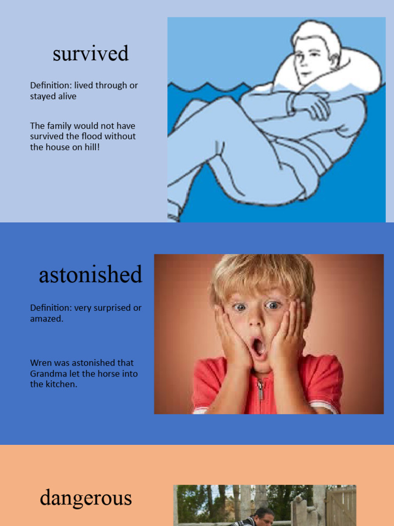 Unit 5 Week 4 Nora's Ark | PDF