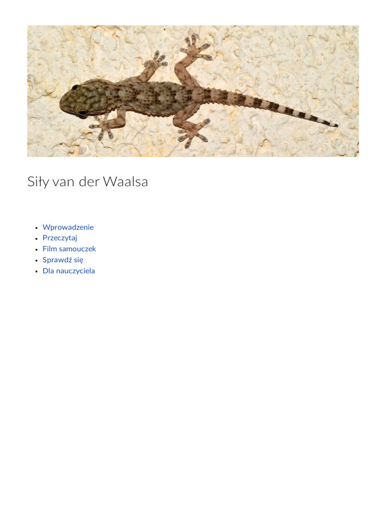 Sily Van Der Waalsa | PDF