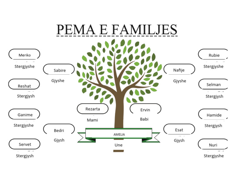 Pema E Familjes: Stergjyshe Gjyshe Sabire Gjyshe Nafije Selman Rubie | PDF