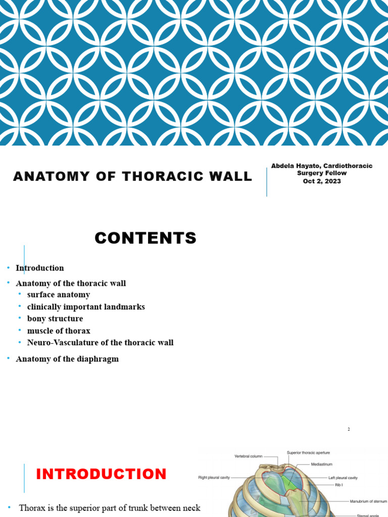 Thoracic Anatomy | PDF | Thorax | Aorta