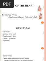 Anatomy Heart Cadaver | PDF | Heart Valve | Coronary Circulation
