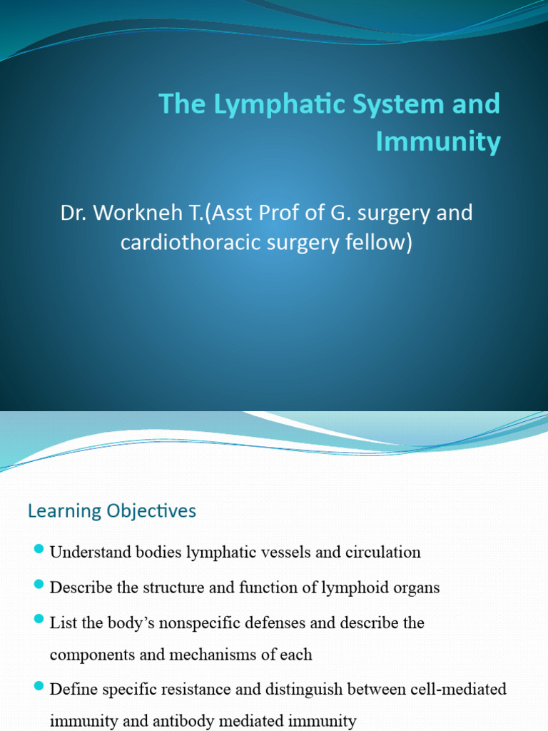 The Lymphatic System and Immunity | PDF | Lymph Node | Lymphatic System