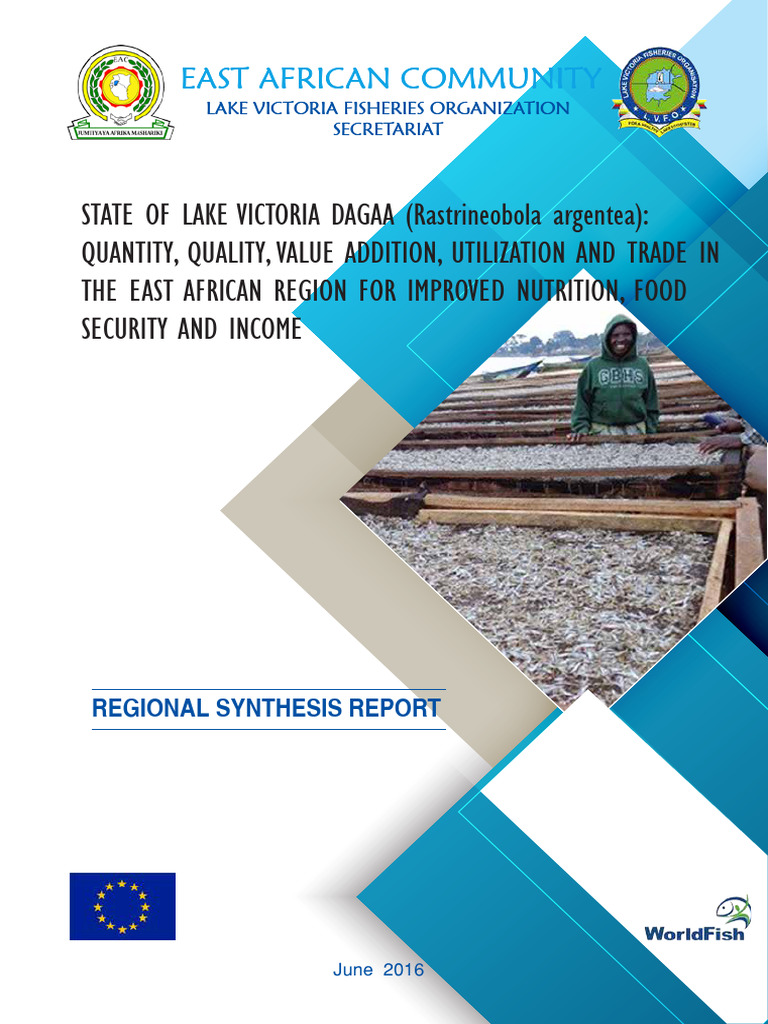 Report On Dagaa Study On Lake Victoria | PDF | Food Security | Tanzania