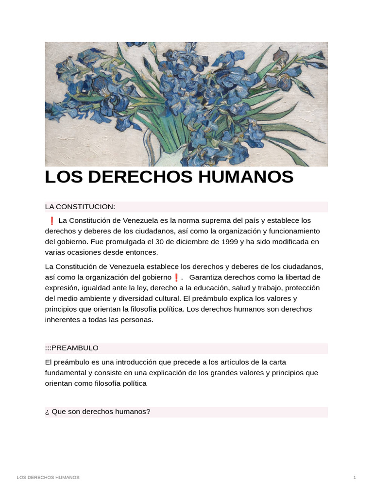 Los Derechos Humanos | PDF | Derechos humanos | Constitución