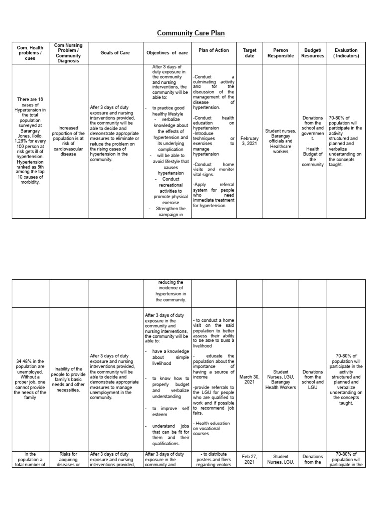 Community Care Plan Landscape Table | PDF | Vaccination | Asthma