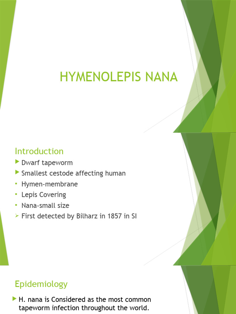 Hymenolepis Nana | PDF