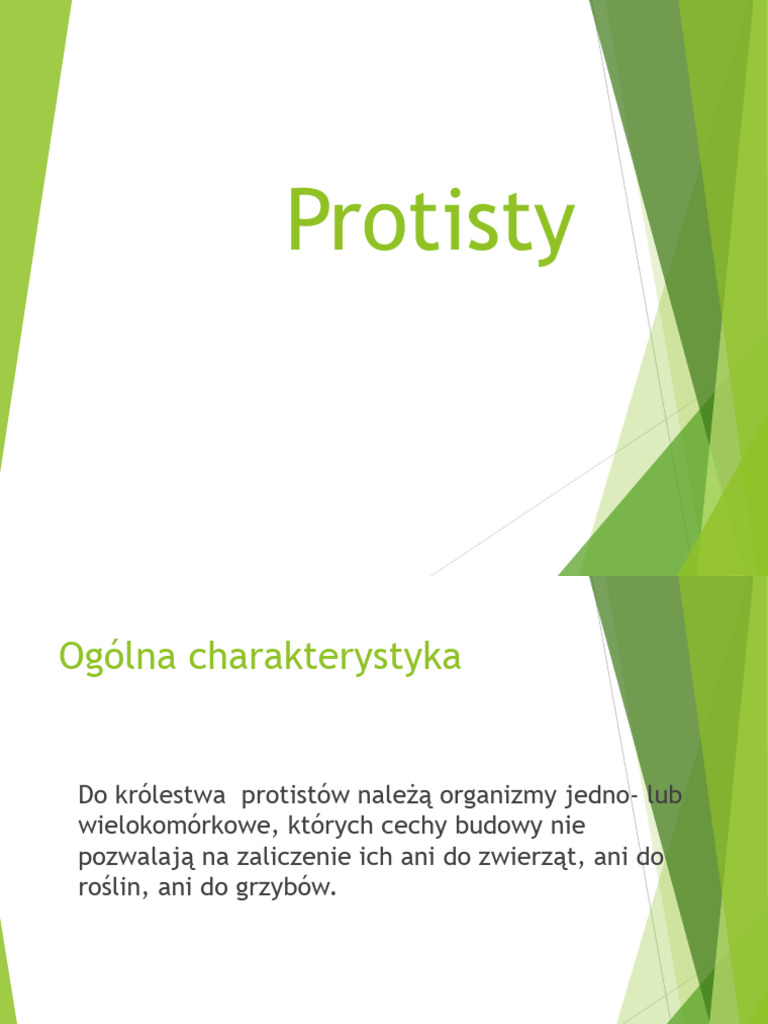 Protisty | PDF