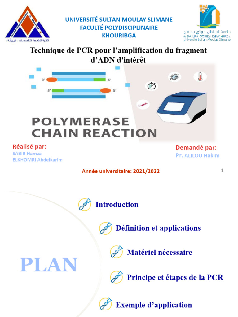 Technique de PCR Pour L'amplification Du Fragment d'ADN D'intérêt | PDF ...