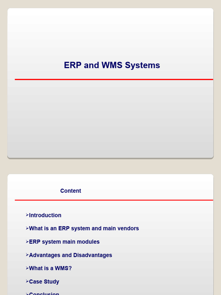 E-Business ERP and WMS Systems | PDF | Enterprise Resource Planning | Warehouse