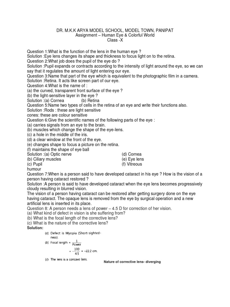 Human Eye Assignment | PDF | Eye | Rainbow