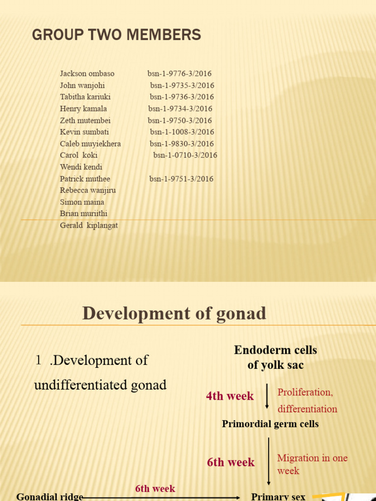 Gonad Development & Disorders | PDF | Vagina | Testicle