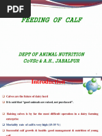 Pig Feed Price List and Calculator 2025 | PDF
