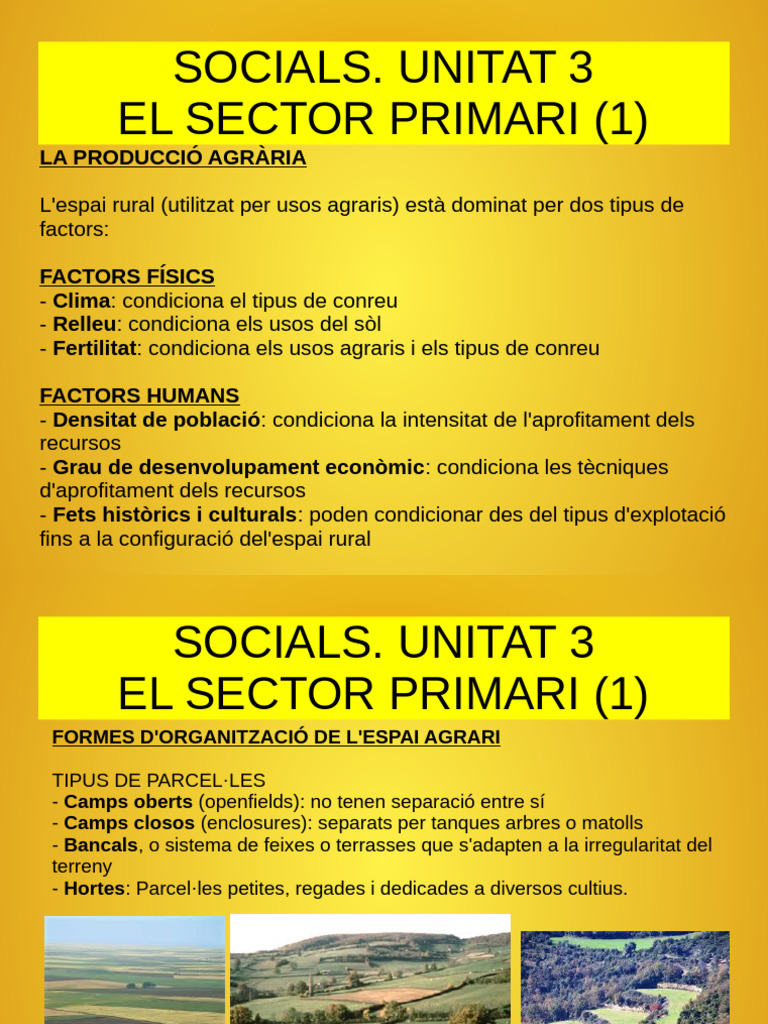 Presentació El Sector Primari 1 | PDF