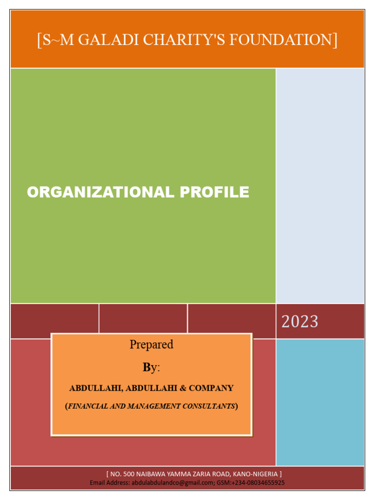 S-Galadi Foundation Profile-1 Edited | PDF | Empowerment | Charitable ...