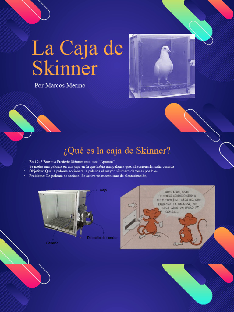 Caja de Skinner | PDF