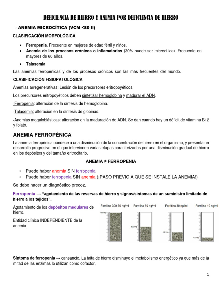 Deficiencia de Hierro y Anemia Por Deficiencia de Hierro. | PDF ...