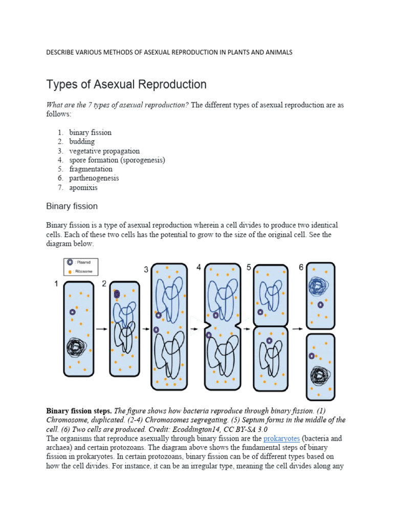 S.A. U2 - 2. Describe Various Methods of Asexual Reproduction in Plants ...