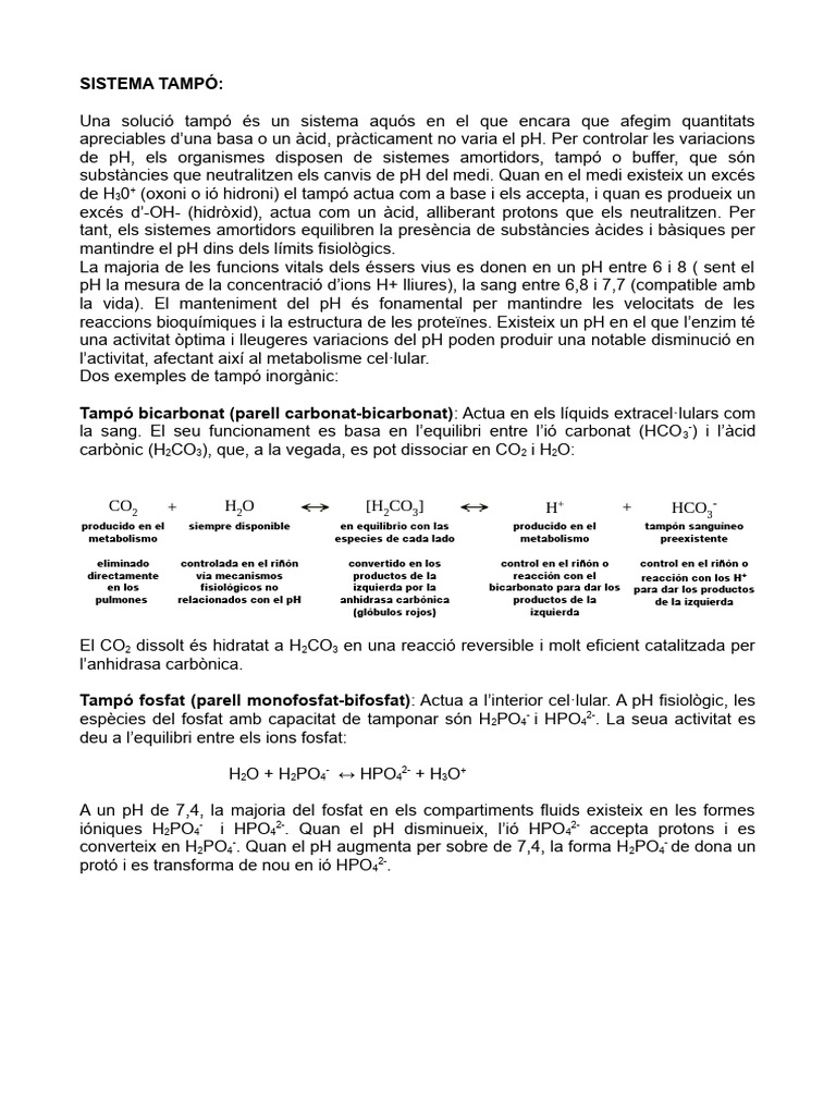 Sistema Tampó | PDF